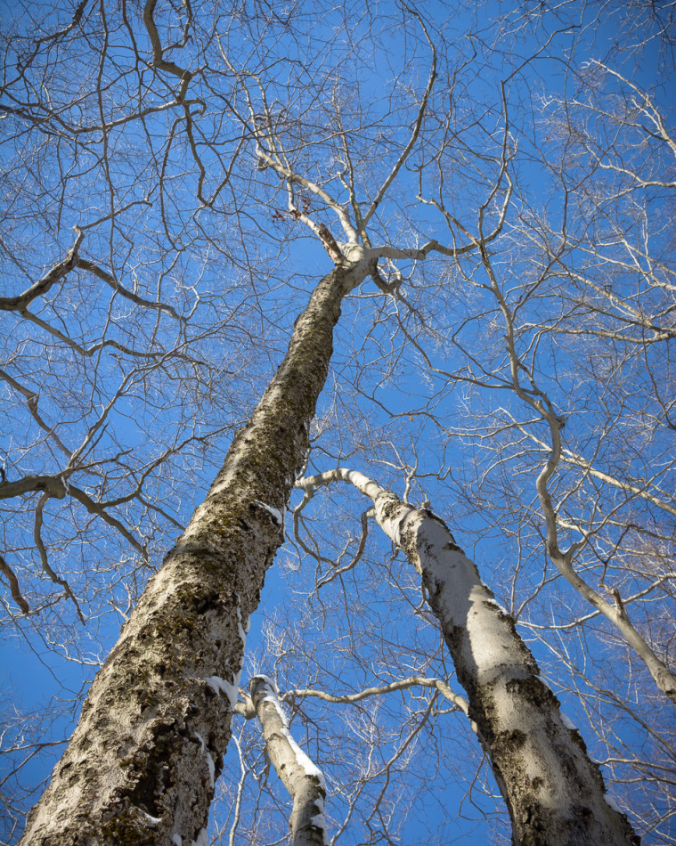 Sub-Zero Winter Hike - Trevor LaBarge